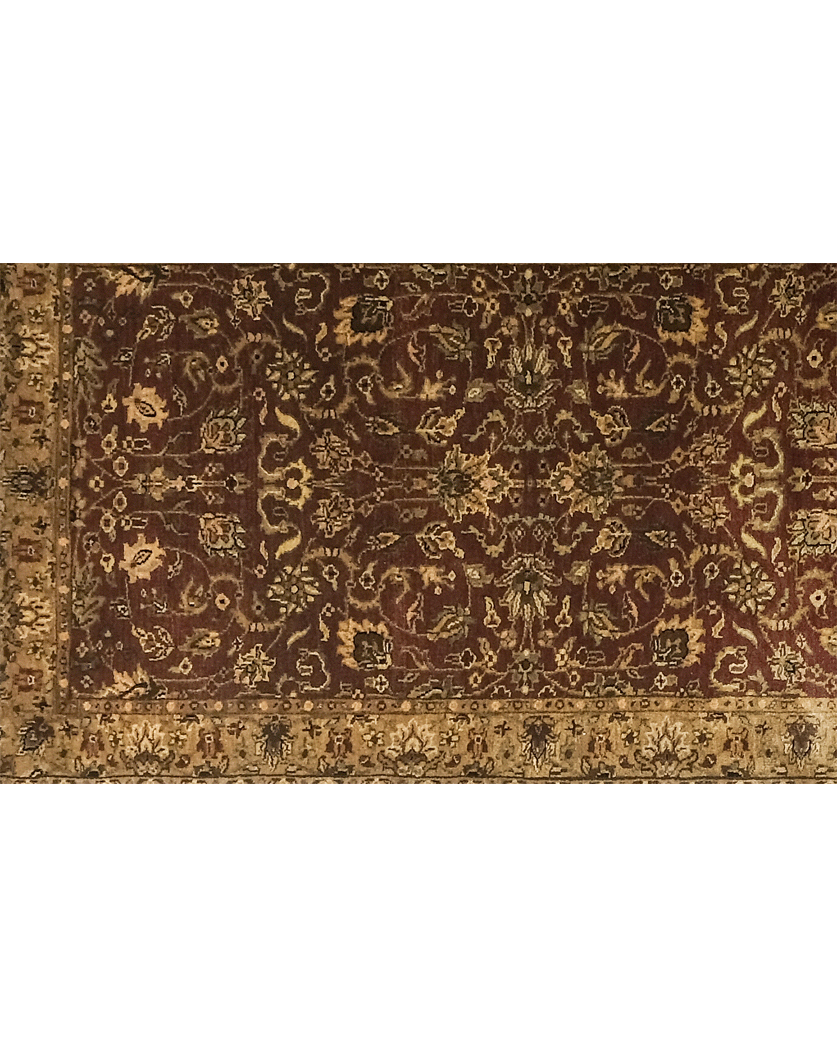 Scarlet – Cocoon Fine Rugs